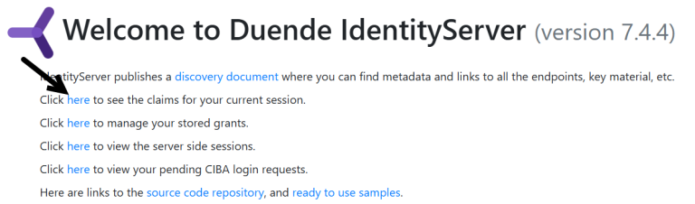 Duende IdentityServer 7: A Complete Setup Guide for ASP.NET Core